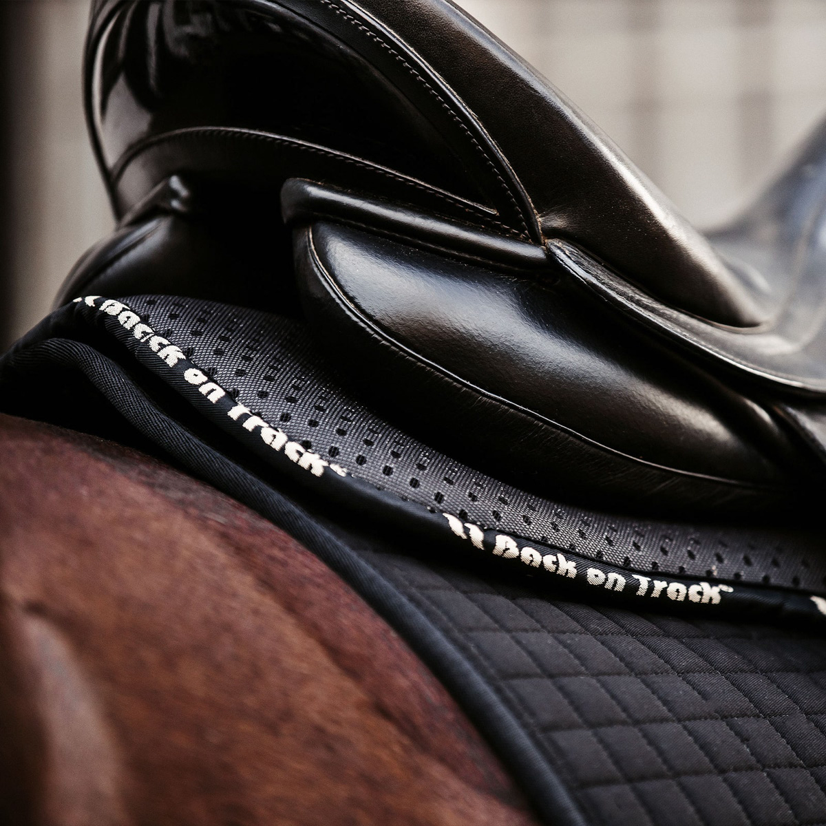 Back On Track Salpad Aurora Impact | Börjes Hästsport