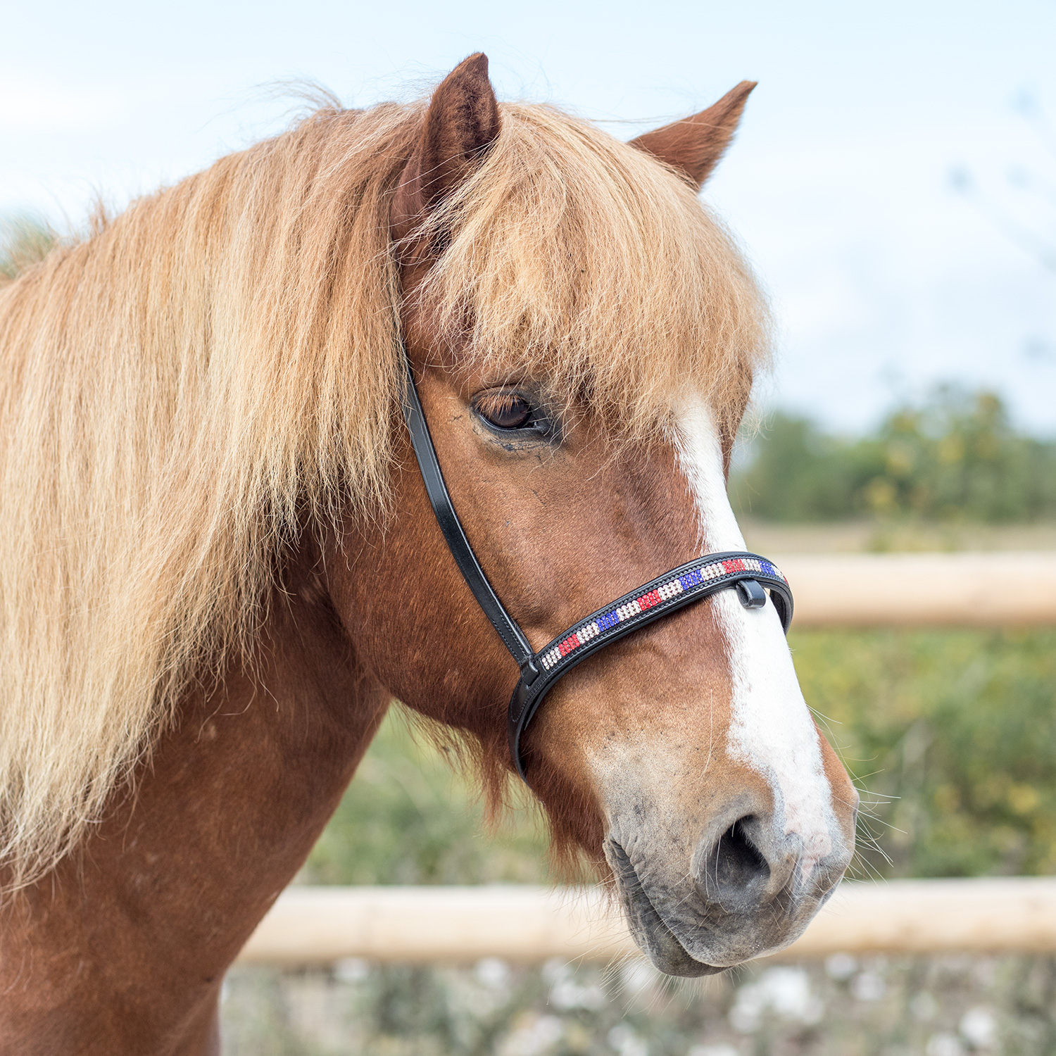 Nesegrime Hafnir | Börjes Hästsport